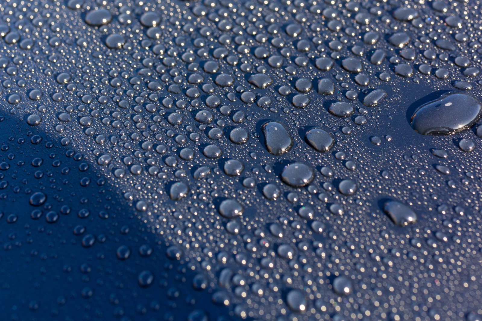 Soft99 Authentic Premium | Carclean.com Forum